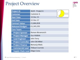Project Performance Reporting | PDF