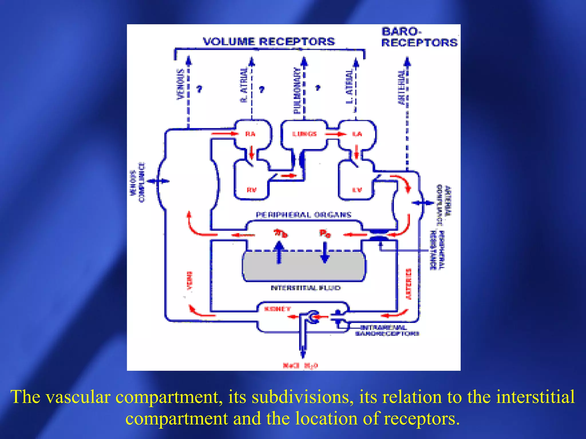 Physiology of body fluids | PPT