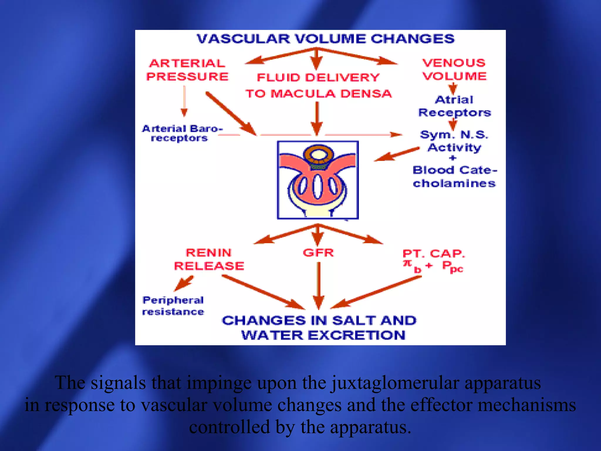 Physiology of body fluids | PPT