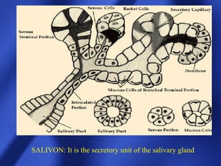 Physiology of body fluids | PPT