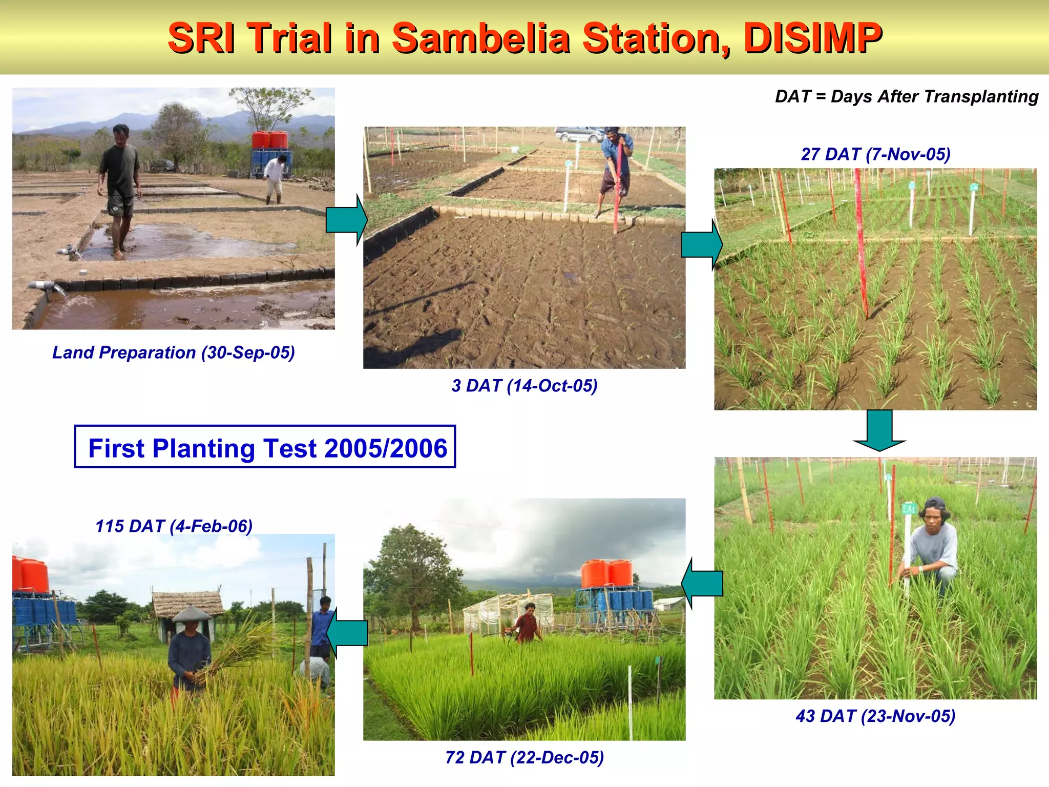 0602 Water Saving for Paddy Cultivation by SRI: Experience of ...