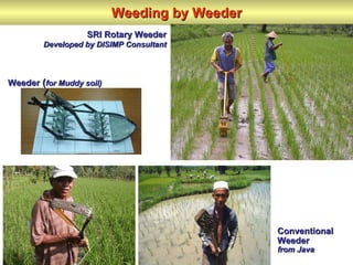 0602 Water Saving for Paddy Cultivation by SRI: Experience of ...