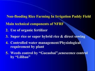 0605 Non-flooding Rice Farming Technology In Irrigated Paddy Field | PPT