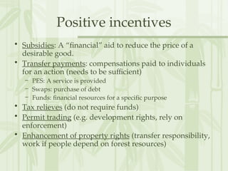 Deforestation in Developing Countries: Causes, Policies, and Positive ...