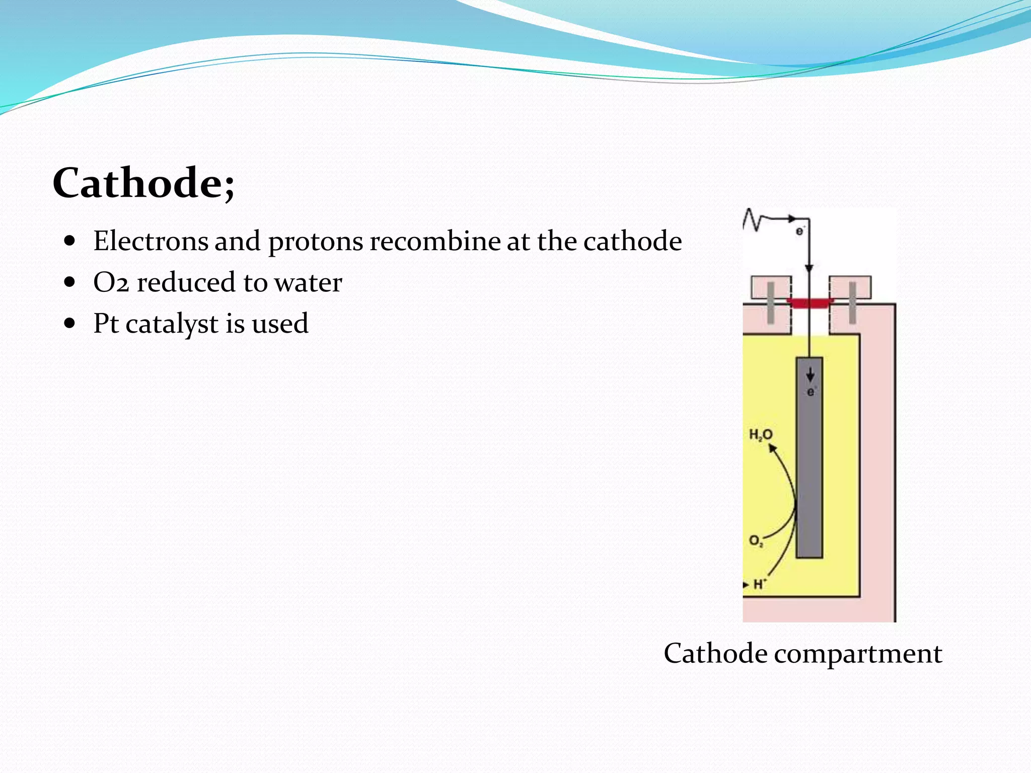 MICROBIAL FUEL CELLS-PPT | PPTX