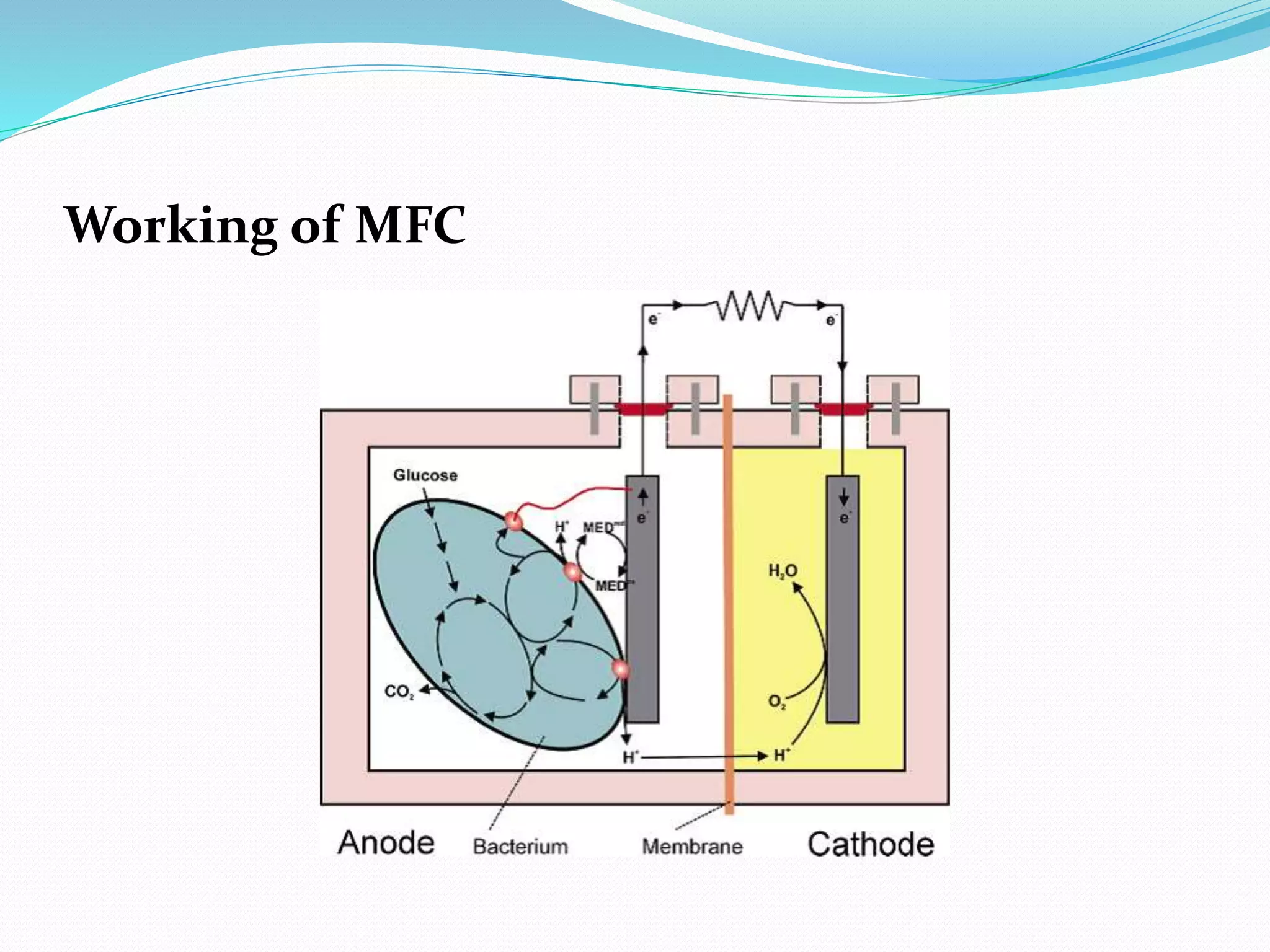 MICROBIAL FUEL CELLS-PPT | PPTX