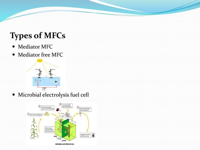 MICROBIAL FUEL CELLS-PPT | PPTX