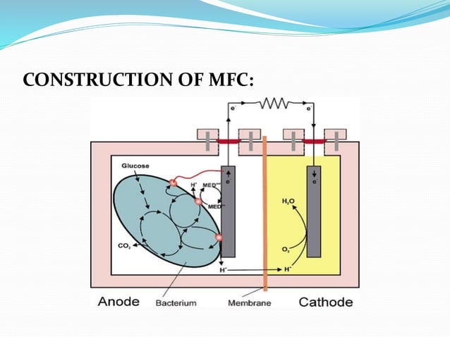 MICROBIAL FUEL CELLS-PPT | PPTX