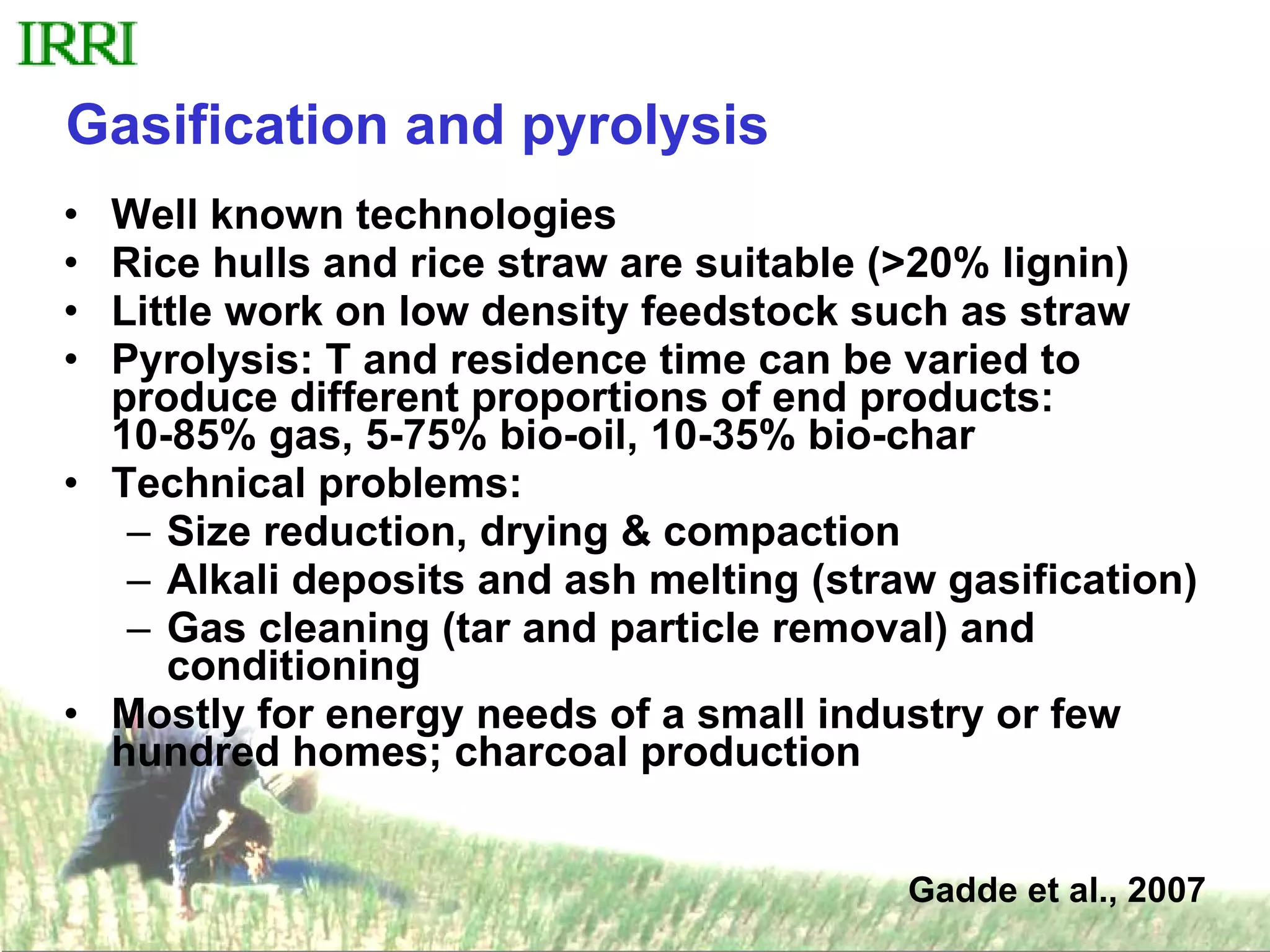 Biofuels - what is in it for rice farmers? | PPT