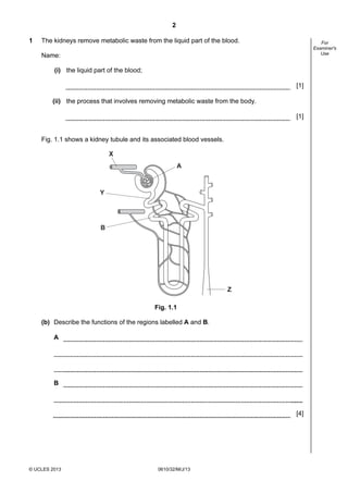 0610 s13 qp_32 | PDF