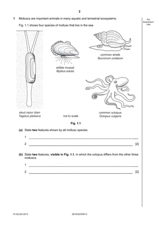 0610 w13 qp_32 | PDF