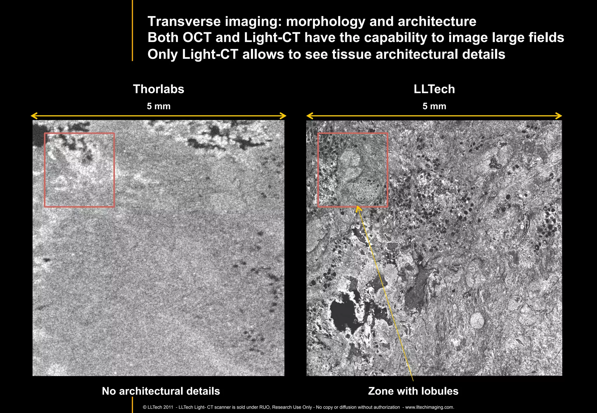 LLTech Light-CT comparison vs OCT and confocal microscopy | PDF