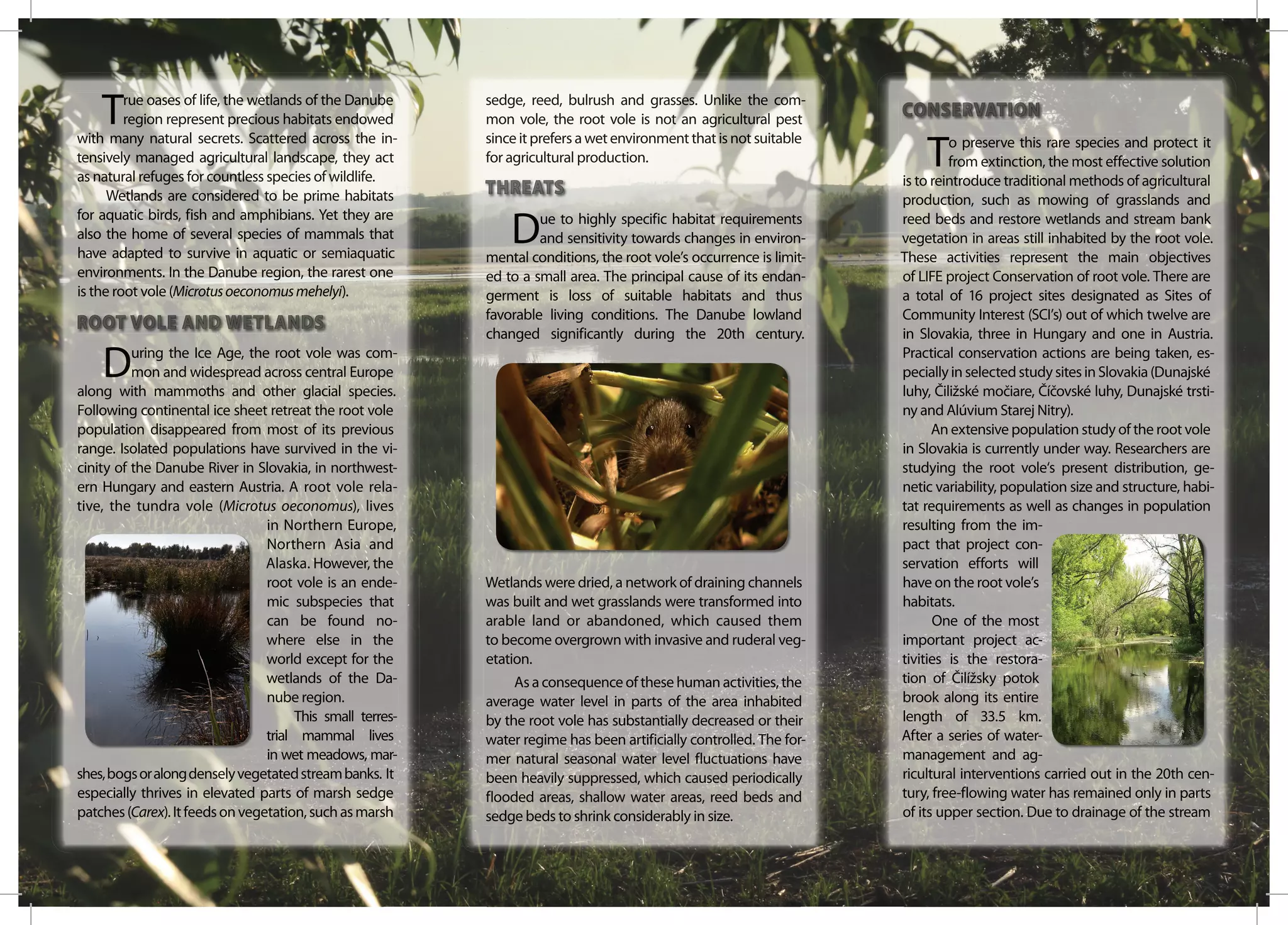 Wetland Conservation Project - Brochure | PDF