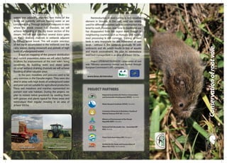 Wetland Conservation Project - Brochure | PPT