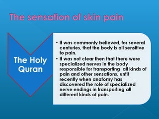 063 the sensation of skin pain | PPT