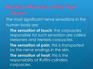 063 the sensation of skin pain | PPT