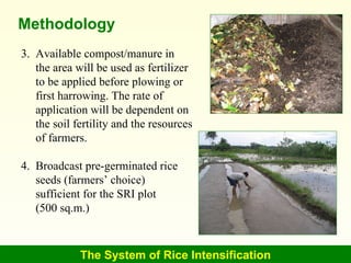 0630 System of Rice Intensification (SRI) On–Farm Trials in Eastern ...