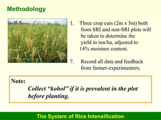 0630 System of Rice Intensification (SRI) On–Farm Trials in Eastern ...