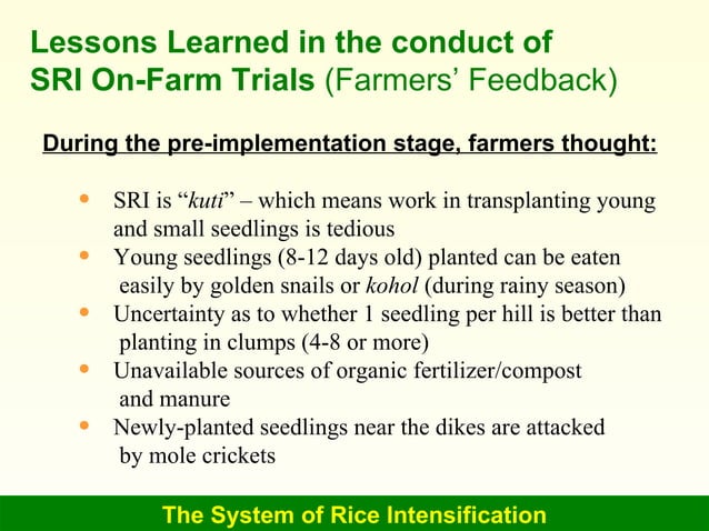 0630 System of Rice Intensification (SRI) On–Farm Trials in Eastern ...