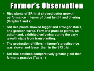 0631 "System of Rice Intensification (SRI): The Farmers Field School ...