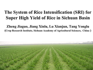 0632 "The System of Rice Intensification (SRI) for | PPT
