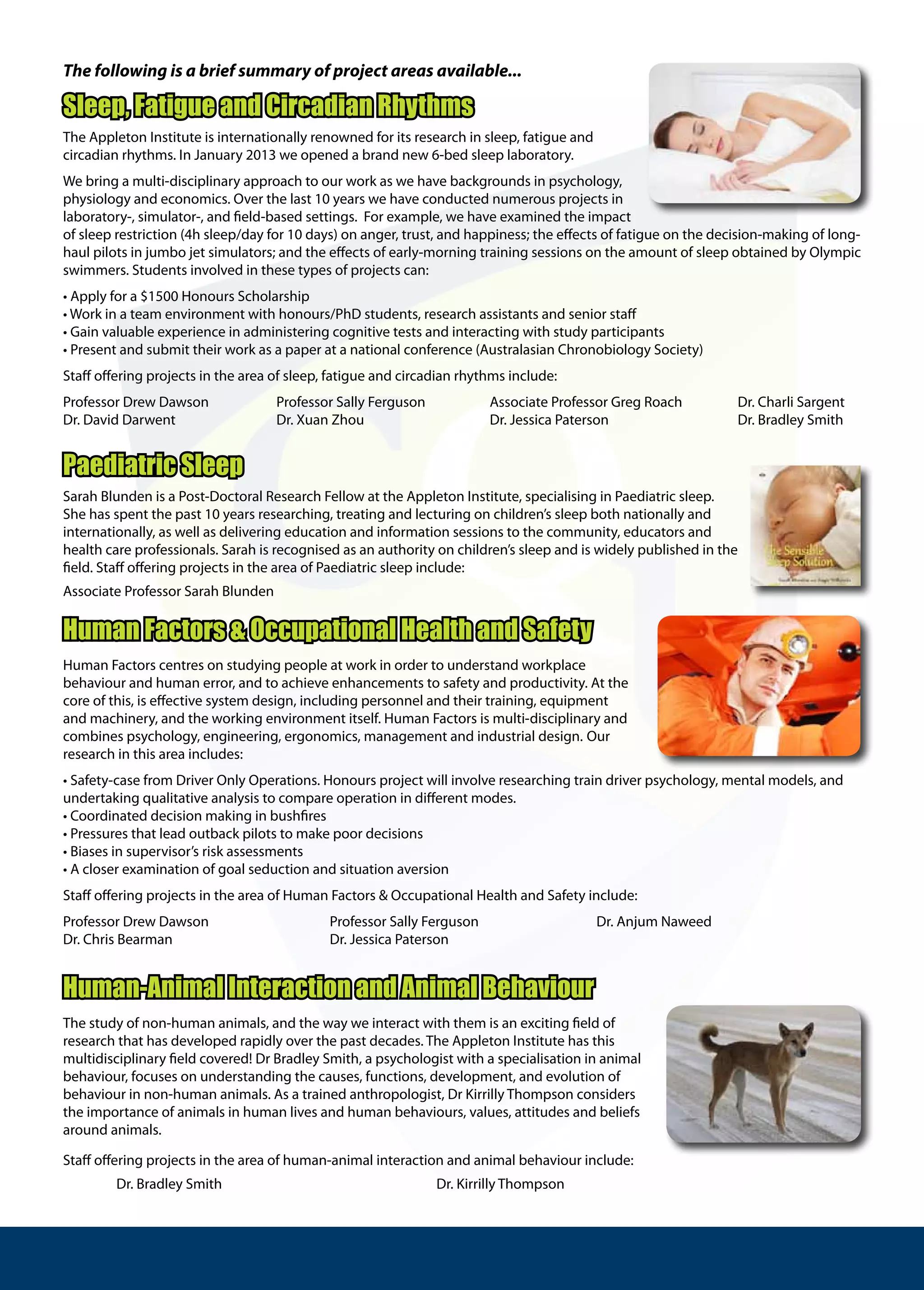 Appleton HONOURS Projects 2015 | PDF