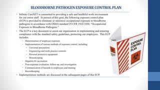Bloodborne Pathogen ECP | PPT