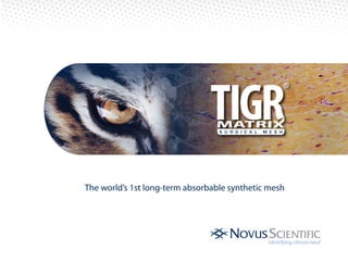 TIGR Matrix Synthetic Long Term Resorbable Surgical mesh | PPT