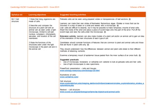 0653_Scheme_of_Work_(for_examination_from_2019).docx
