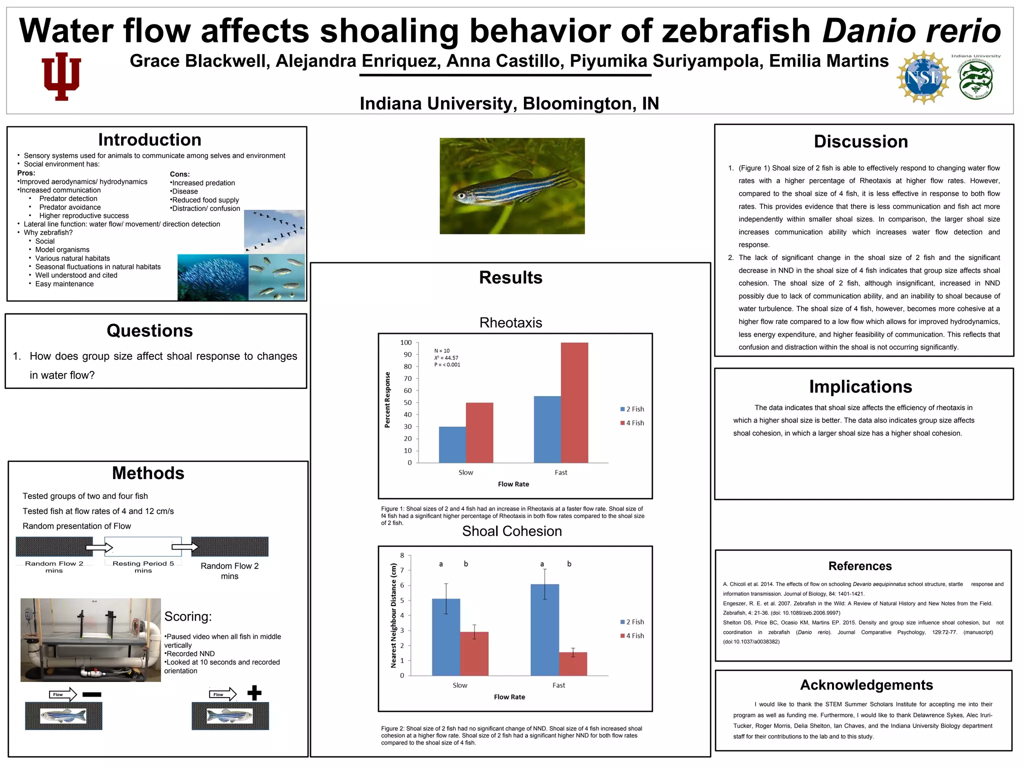 Summer 2015 Zebrafish Poster (2) | PPT