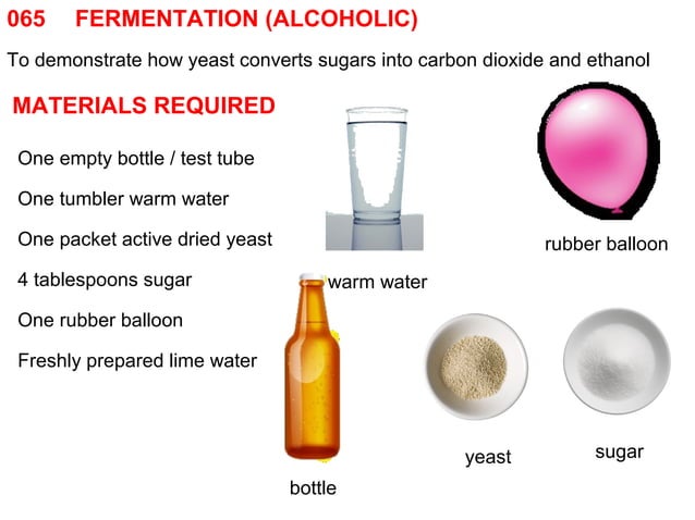 065 fermentation (alcoholic) | PPT