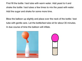065 fermentation (alcoholic) | PPT