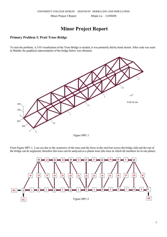 Modelling and Simulations Minor Project | PDF