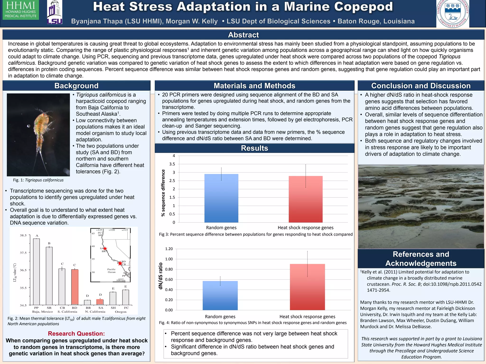 FINAL HHMI POSTER Byanjana Thapa | PPTX