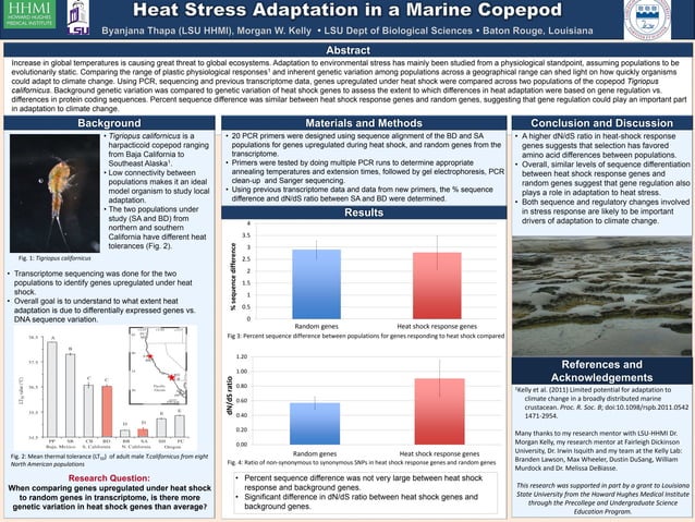 FINAL HHMI POSTER Byanjana Thapa | PPT