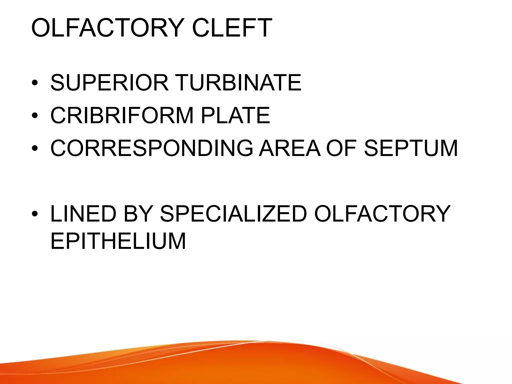 ANATOMY OF NOSE | PDF