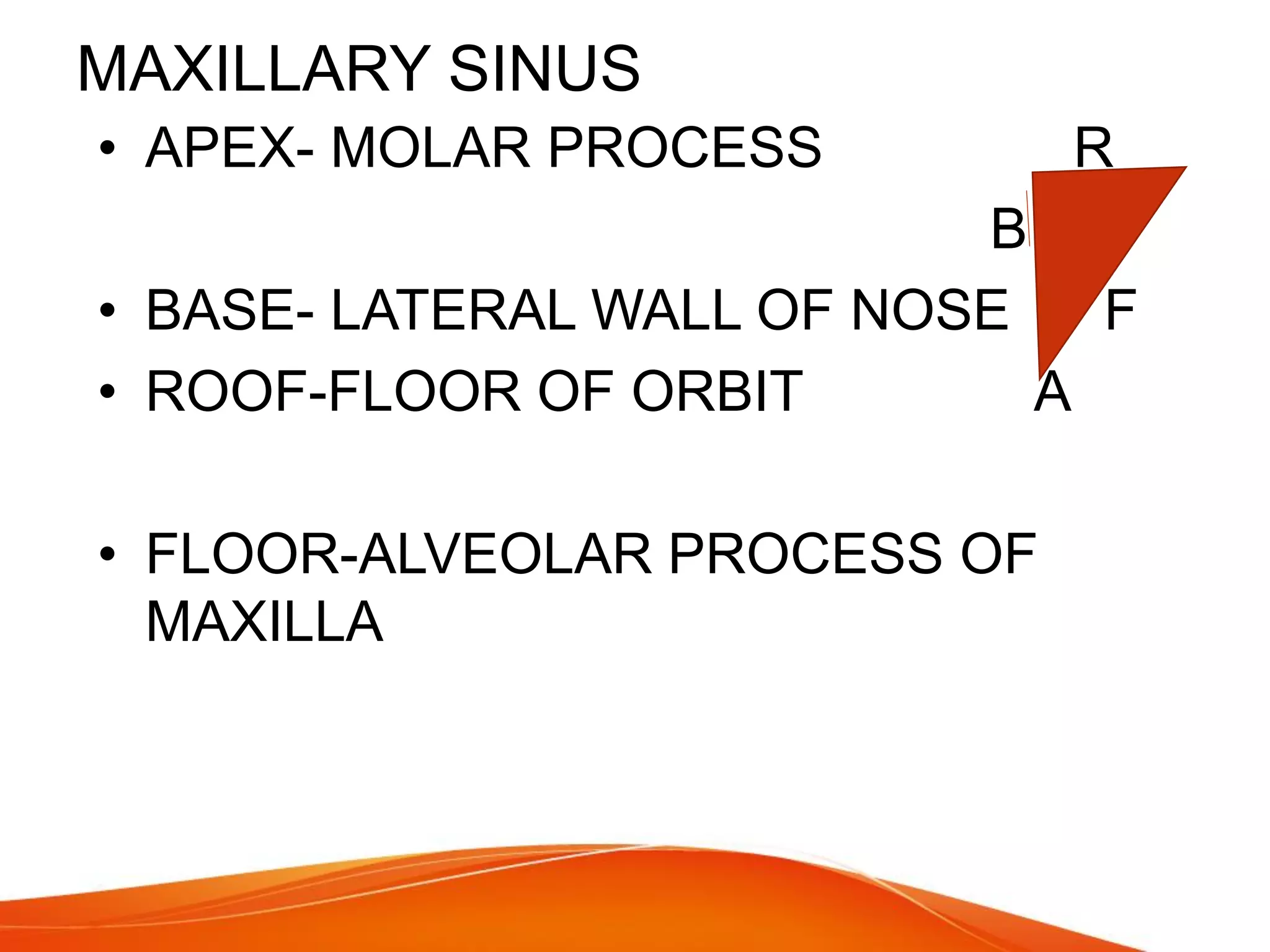 ANATOMY OF NOSE | PDF