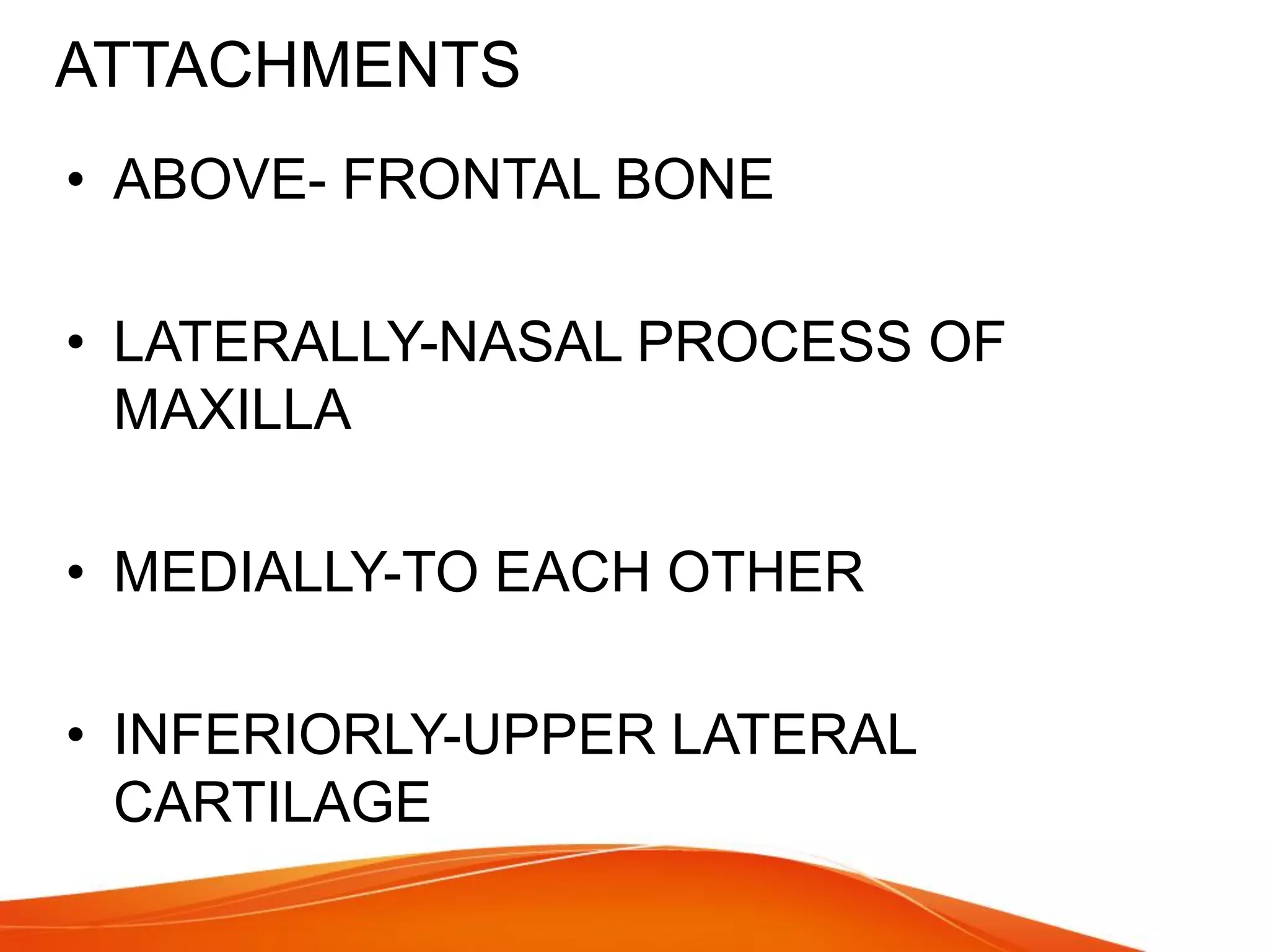 ANATOMY OF NOSE | PDF