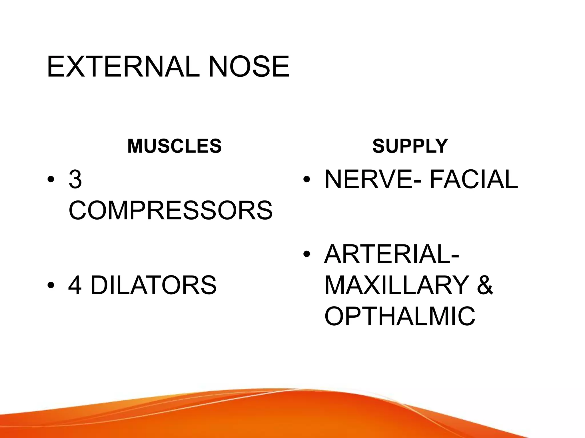 ANATOMY OF NOSE | PDF