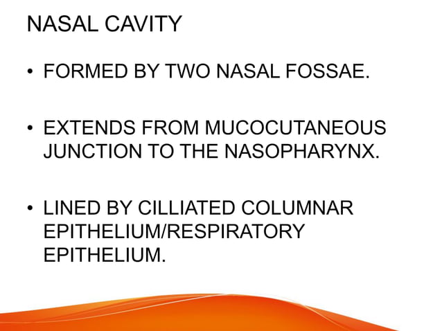 ANATOMY OF NOSE | PDF | Ear, Nose and Throat Conditions | Diseases and ...