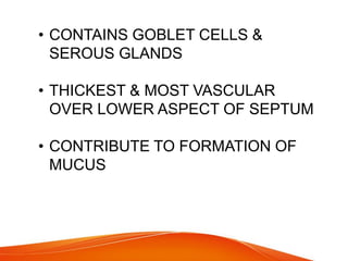 ANATOMY OF NOSE | PDF