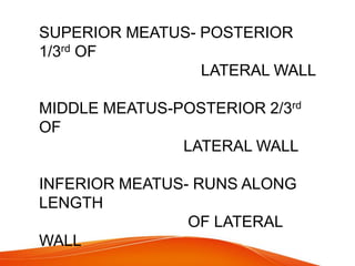 ANATOMY OF NOSE | PDF