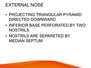 ANATOMY OF NOSE | PDF