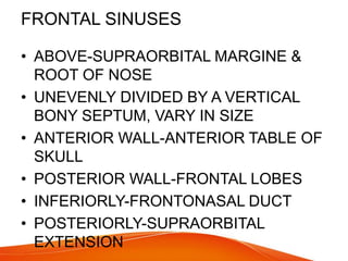 ANATOMY OF NOSE | PDF