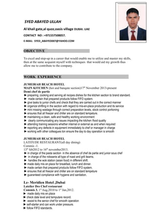 syed cv | PDF