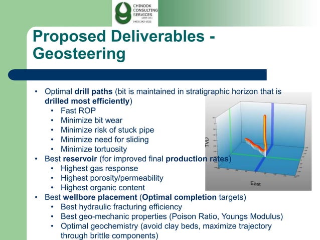 Chinook Projects-Geosteering and drilling optimization | PPTX