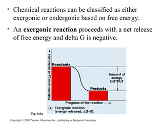 06 A Metabolism Energy Life Campbell | PPT