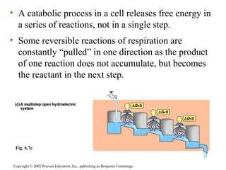 06 A Metabolism Energy Life Campbell | PPT