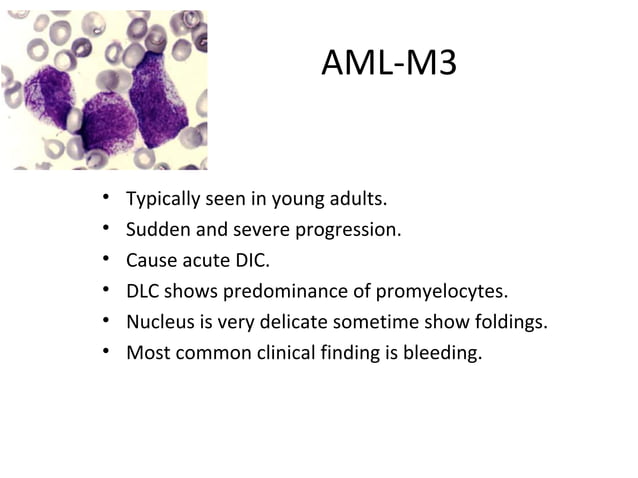 AML vs ALL 5th Semester | PPT