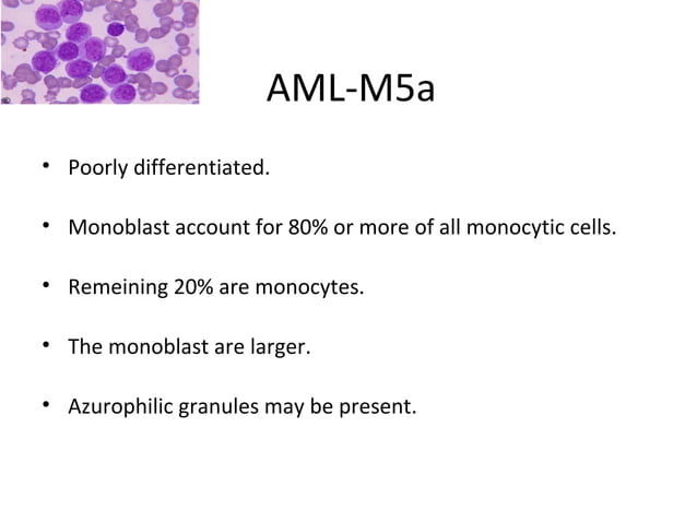 AML vs ALL 5th Semester | PPT